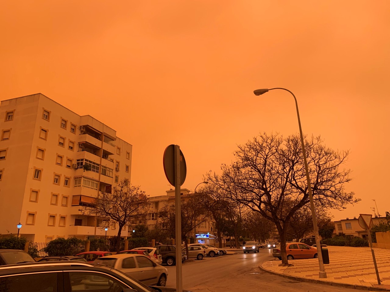 Calima - Mama Málaga